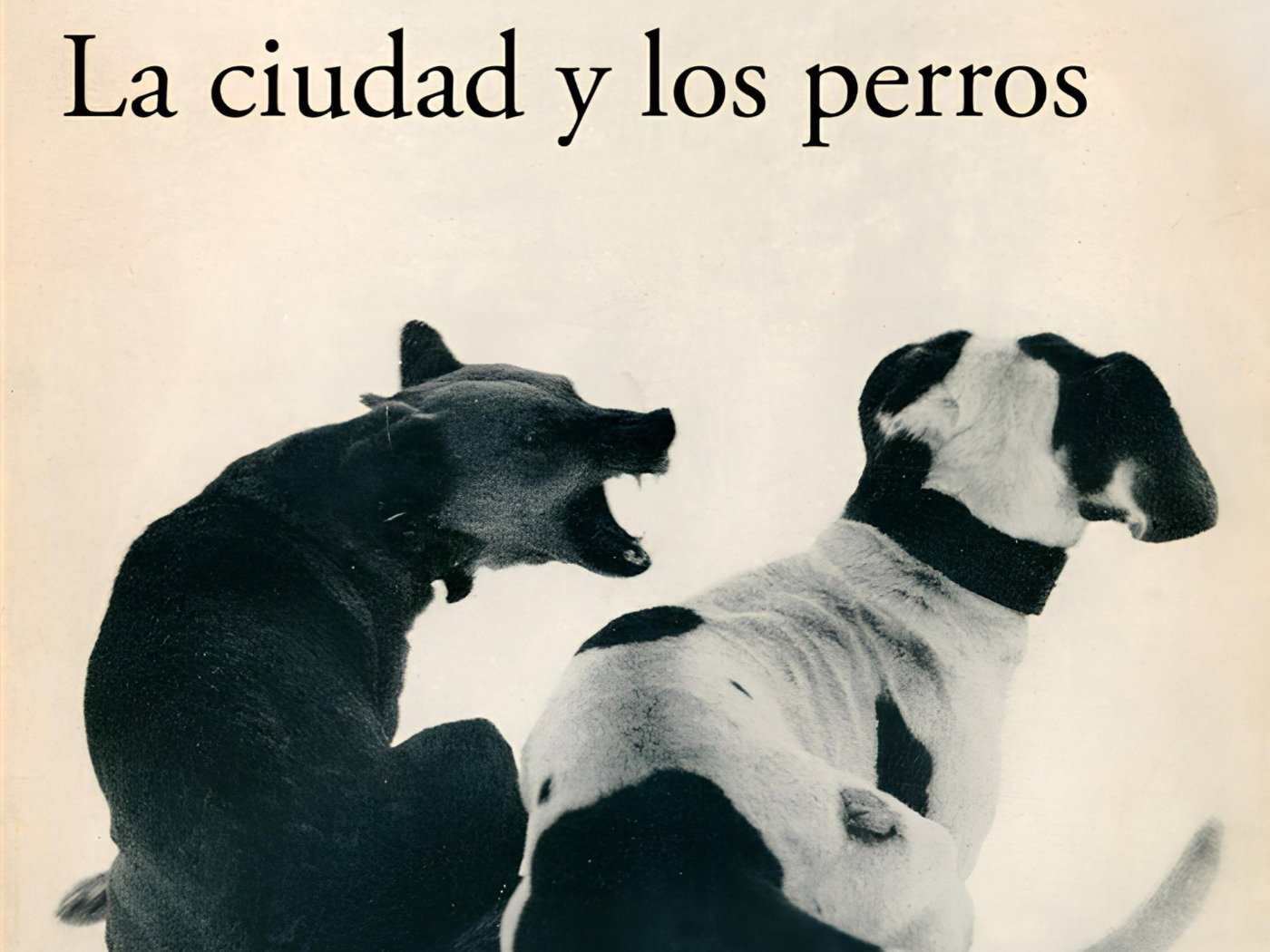 La ciudad y los perros: resumen y análisis de la novela de Vargas Llosa ...