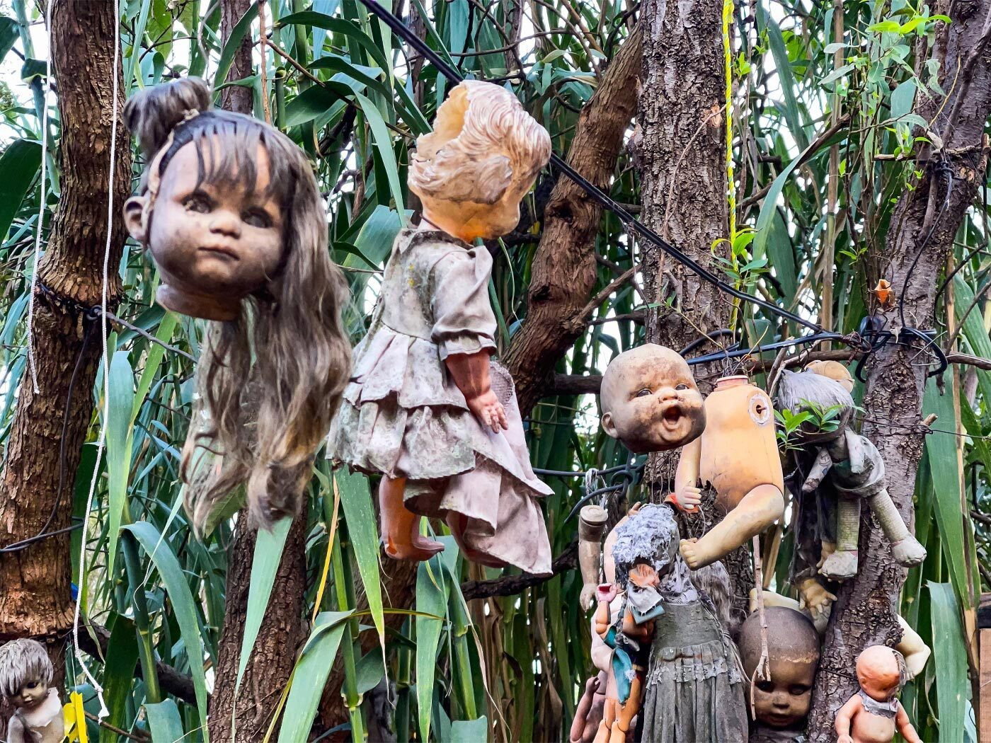 La isla de las muñecas: la misteriosa leyenda de Xochimilco - Cultura ...