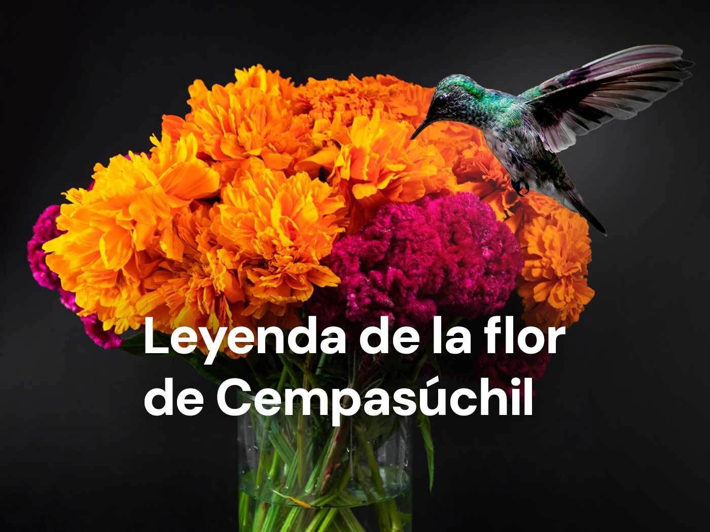 La leyenda del Cempasúchil: la flor del Día de los Muertos - Cultura Genial