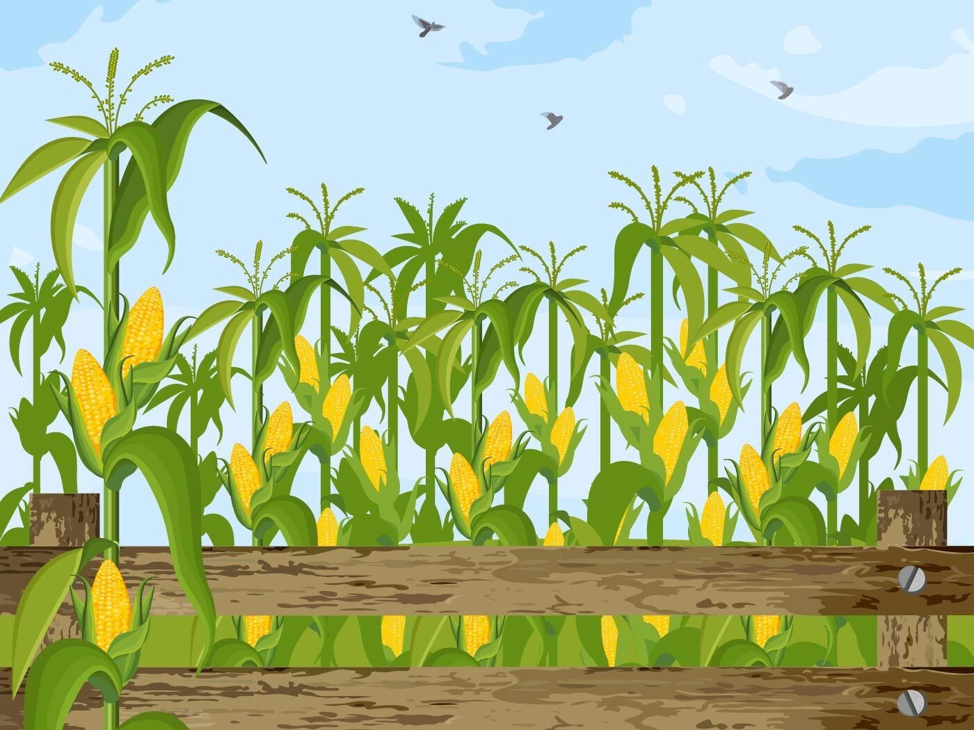 La leyenda del maíz: la historia ancestral de Quetzalcóatl - Cultura Genial