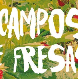 Campos De Fresas Para Siempre Campos De Fresas Para Siempre / Penny