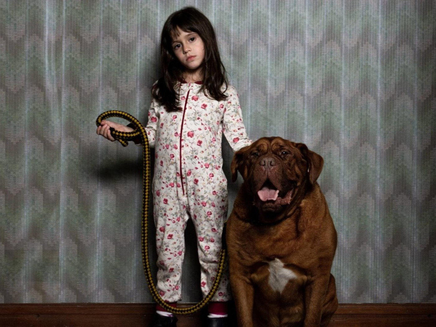 Las 21 películas de terror en Netflix más escalofriantes - Cultura Genial