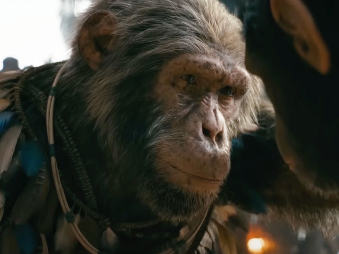 El Planeta de los Simios: el orden correcto para ver las películas ...