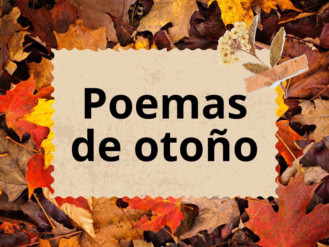 9 poemas que reflexionan sobre el otoño - Cultura Genial
