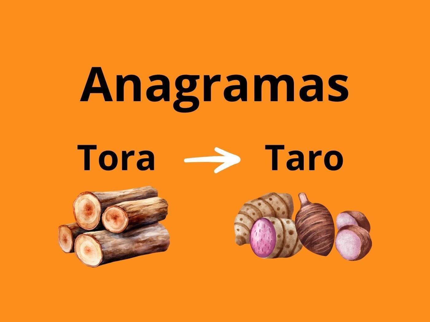 Ejemplos de anagramas en español: el arte de jugar con las palabras ...