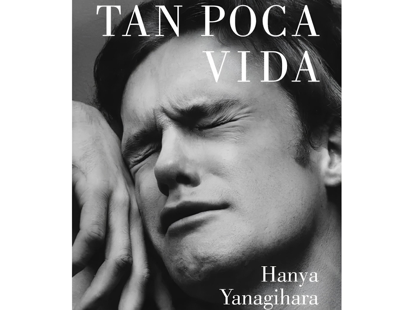 Tan poca vida: resumen y análisis de la novela - Cultura Genial