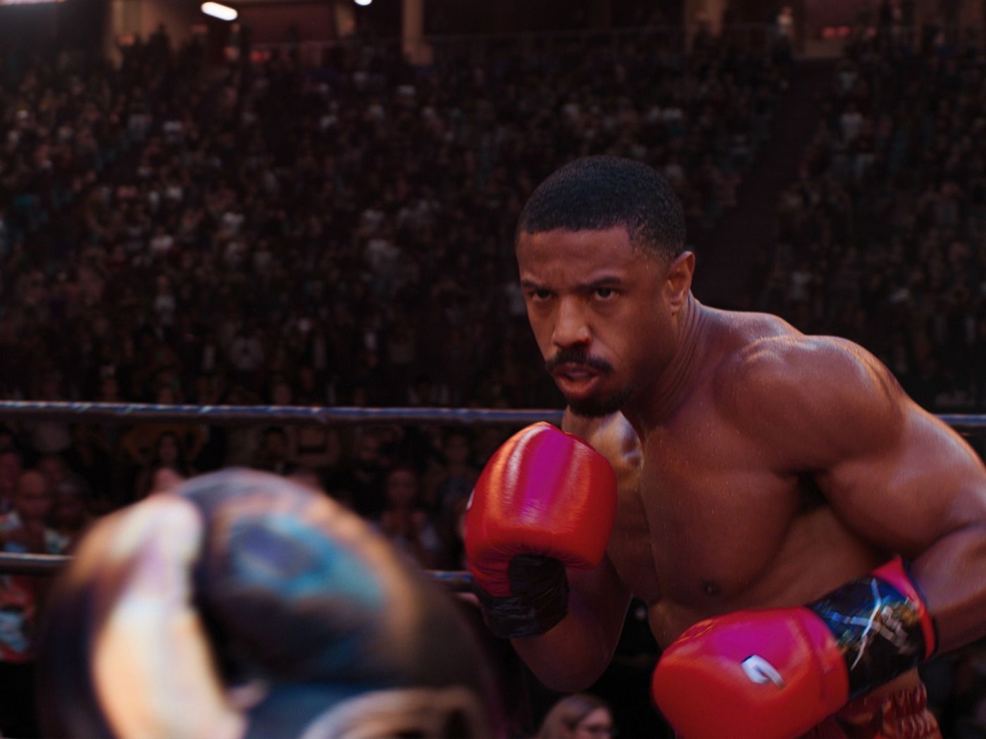 Os 9 melhores filmes de luta e ação que todo fã deve assistir - Cultura ...