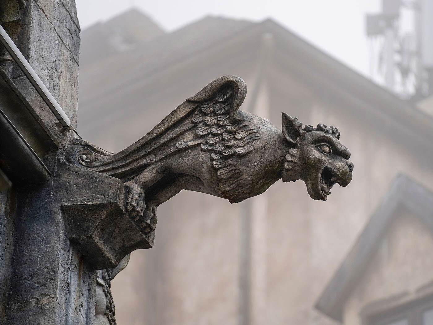 Gárgulas: o que é, significado e função dessas esculturas medievais ...